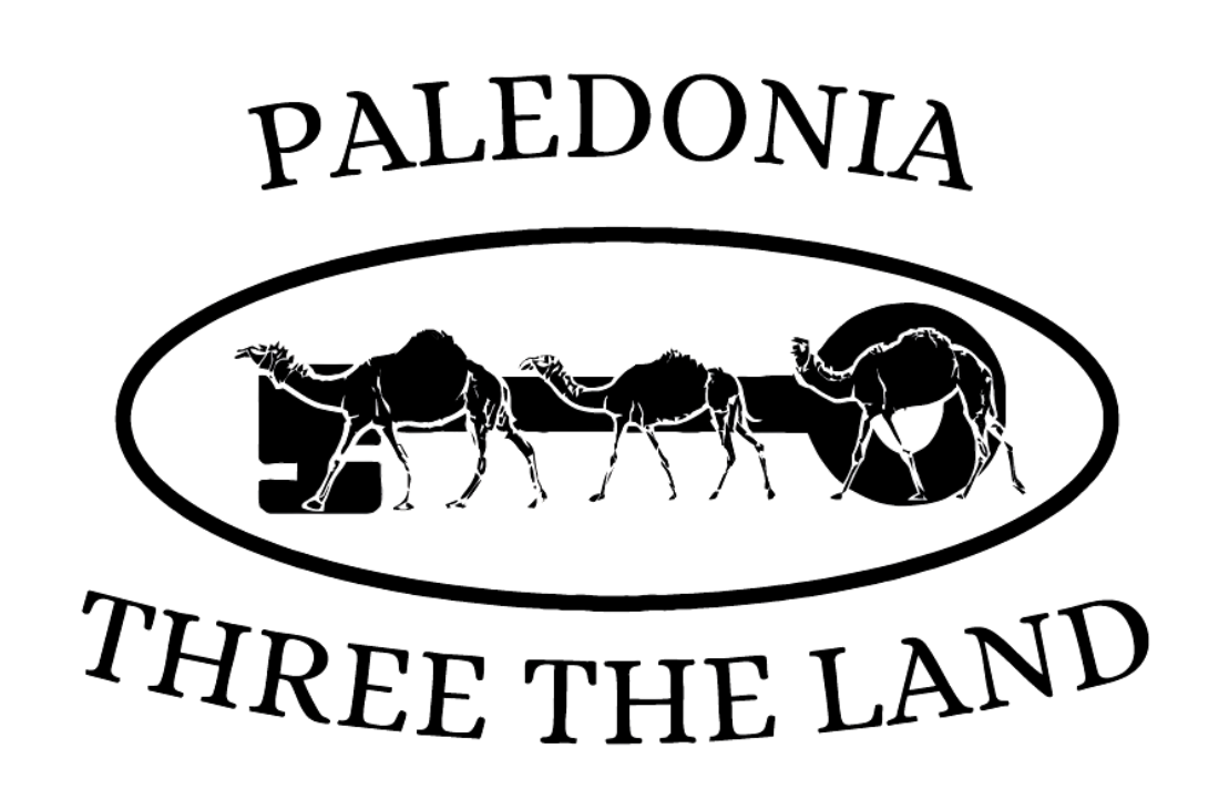 Paledonia | Official Online Clothing Store